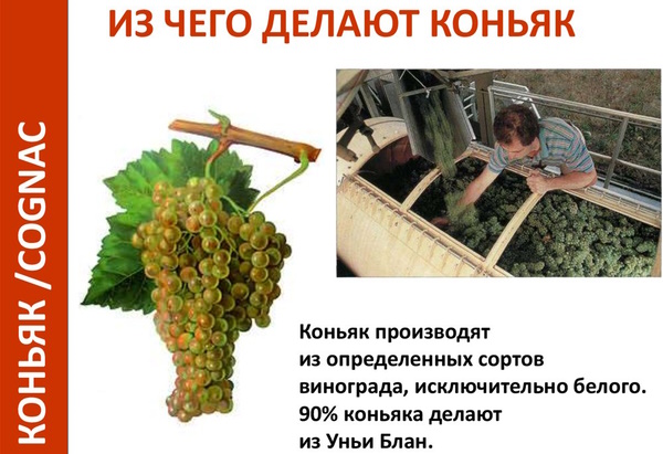 Коньяки Армении (лучшие армянские коньяки 7-10 лет). Цены, отзывы